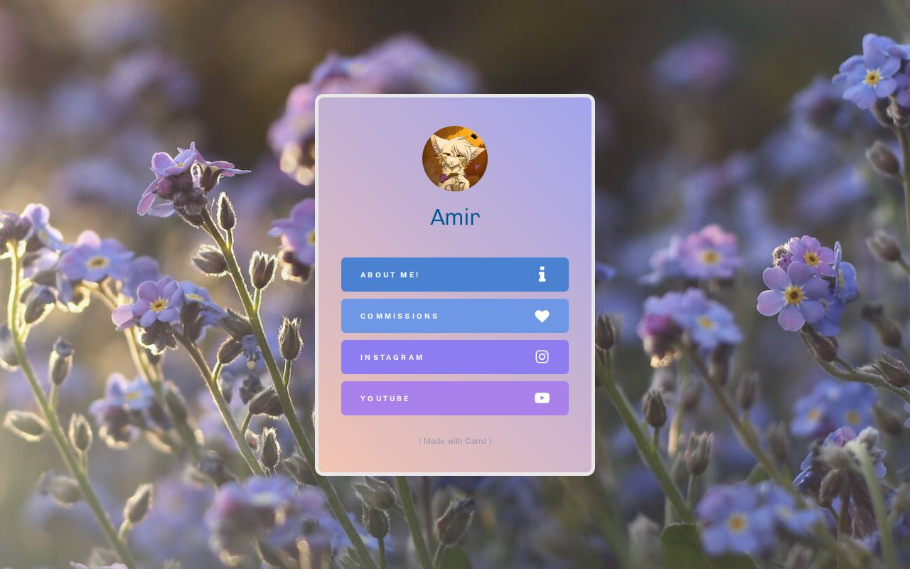 Amir's Commissions and Information